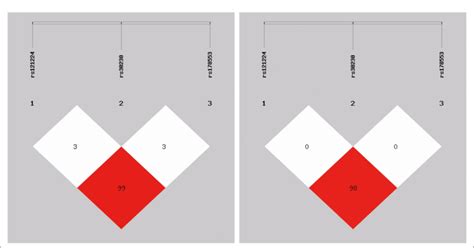 Figure E Linkage Disequilibrium Test Of The Three Polymorphisms The Rs Download Scientific
