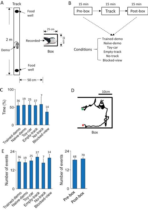 Figures And Data In Social Observation Enhances Cross Environment Activation Of Hippocampal