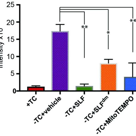 Quantification Of The Mean Fluorescence Intensity Signal In Confocal Download Scientific