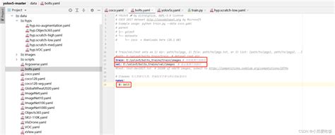 新手跑通yolov5全记录（包括anaconda、pytorch等）anaconda Yolov5 Csdn博客