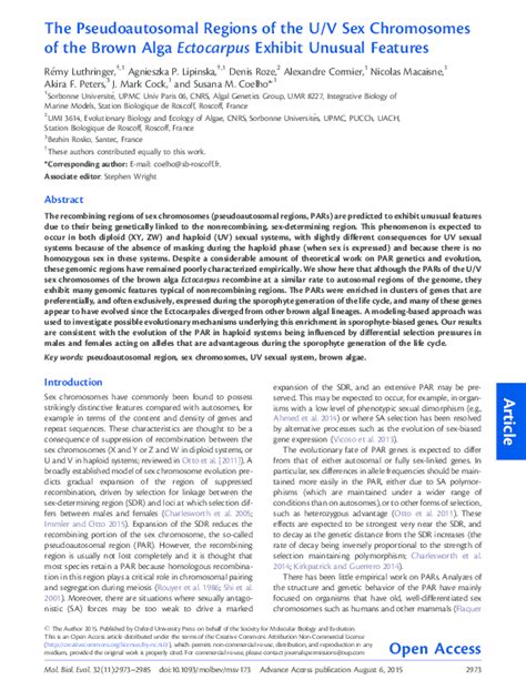 Pdf The Pseudoautosomal Regions Of The U V Sex Chromosomes Of The