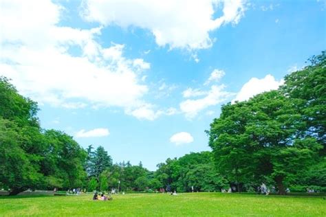 Picnic Date At The Park Recommended Spots For Couples In Tokyo