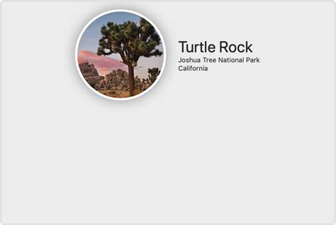Creating A Macos App · Williewangweiswiftui Tutorials Wiki · Github