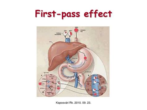 Ppt Ittasság Bódultság Orvosszakértői Véleményezése Powerpoint