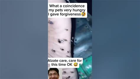 In Seconds Theres More Niddles On Foot 🤔🤔 Asmr Funny Youtube