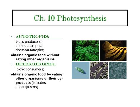 Pdf Ch 10 Photosynthesis Dokumen Tips