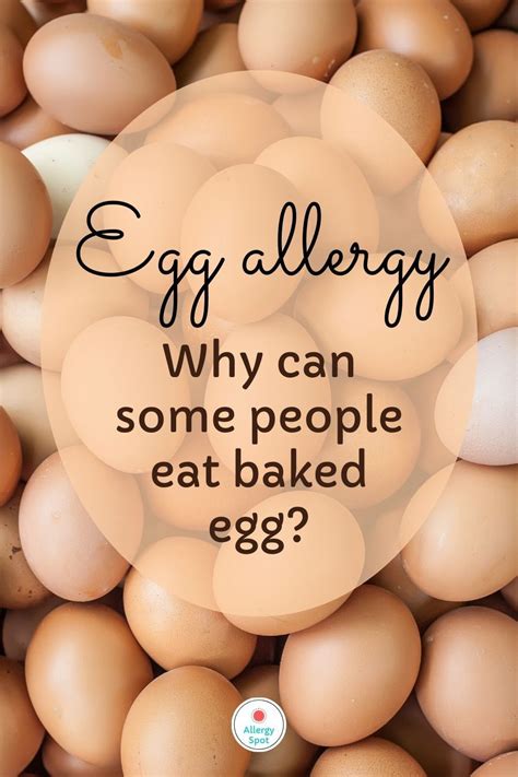 Egg Allergy Why Can Some People Tolerate Baked Egg Allergy Spot