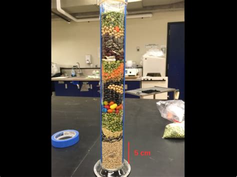 Solved Describe Each Layer And How It Differs From The Chegg Com
