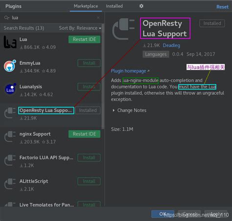 openresty实战篇 二 idea搭建openresty开发环境 openresty的api导入idea csdn博客