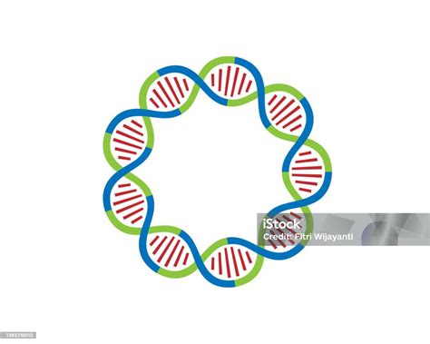 Untai Dna Loop 9 Bagian Ilustrasi Stok Unduh Gambar Sekarang Dna Lingkaran Bentuk Dua Untai Dna Loop 9 Bagian Ilustrasi Stok Unduh Gambar Sekarang Dna Lingkaran Bentuk Dua