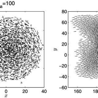 Individual Based Simulations Of The Full Nonlinear Model At Download Scientific Diagram