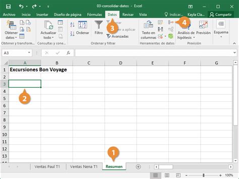 Consolidar Datos Customguide