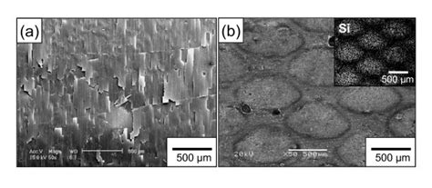 Sem Photographs Of Cycled Si Electrodes A Continuous Si Electrode