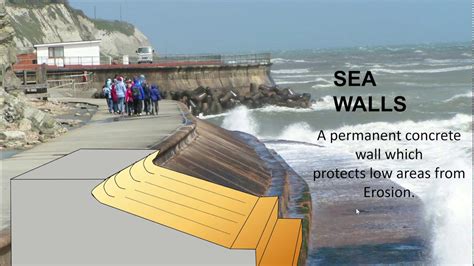 Coastal Erosion Management Volusia County Council Greenlights Beach