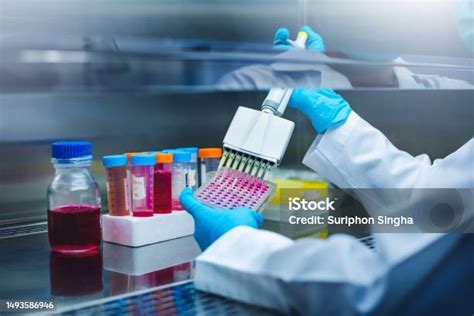 과학자는 실험실에서 샘플 준비와 함께 마이크로 피펫 또는 멀티 피펫을 사용합니다 증기 후드에 대한 스톡 사진 및 기타 이미지