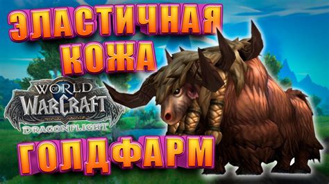 Эластичная Кожа Соло Заработок Золота Wow Dragonflight Голдфарм Youtube