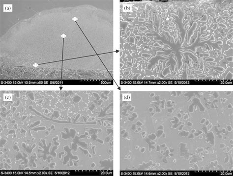 the sem image in the cross section of the laser cladding coating a