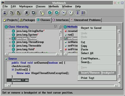 Rdm 2 Ibm Visualage For Java