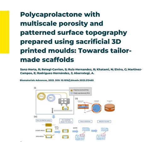 Polycaprolactone 3dprinted Scaffolds Cic Biomagune