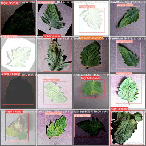 ＜项目代码＞yolov8 番茄叶片病害识别＜目标检测＞使用dcgan训练番茄病害叶片数据集 Csdn博客