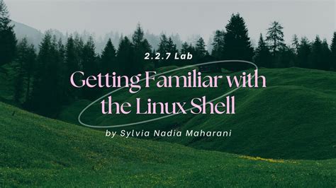 227 Lab Getting Familiar With The Linux Shell Youtube