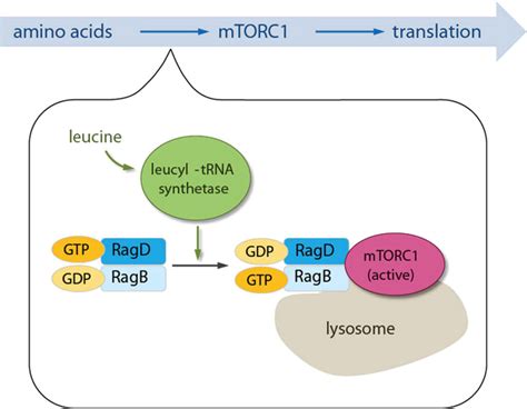 Ai Based Drug Design 4 Aibi