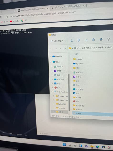 파이썬 질문메모장 저장후 Py로바꿨는데 파이썬으로 변환이안돼요 지식in