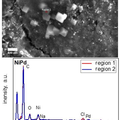 sem images with magnification of 50000 and edx analysis for ni‐pd alloy