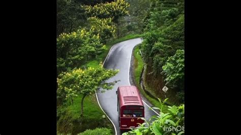 වටවල🌳 Youtube