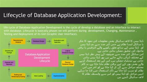 Life Cycle Of Database Management System Development Ppt Life Cycle Of Database Management System Development Ppt