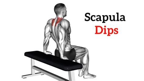 Scapular Wall Slides Improve Shoulder And Back Mobility