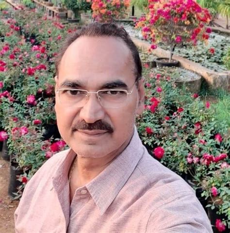 Sobhita Dhulipala Biography Wiki Age Height Boyfriend Web Series My Xxx Hot Girl