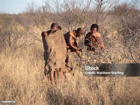 Indigenous Bushmen The San People Of The Kalahari Desert Area Stock