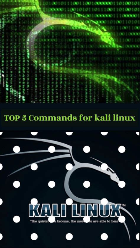 The Ethical Techie Master The Basics 🚀 Learn 5 Essential Linux