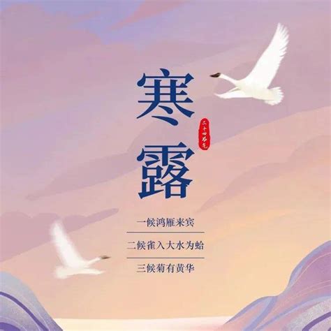 今日寒露丨袅袅凉风动 凄凄寒露零 菊花 红叶 图文