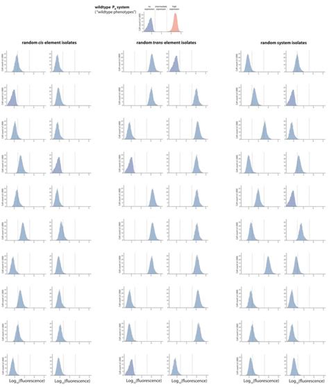 Figures And Data In Regulatory Network Structure Determines Patterns Of