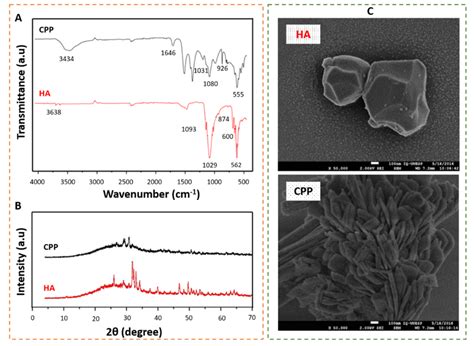 A Ftir Spectra Of Cpp And Ha B Xrd Patterns Of Cpp And Ha And C