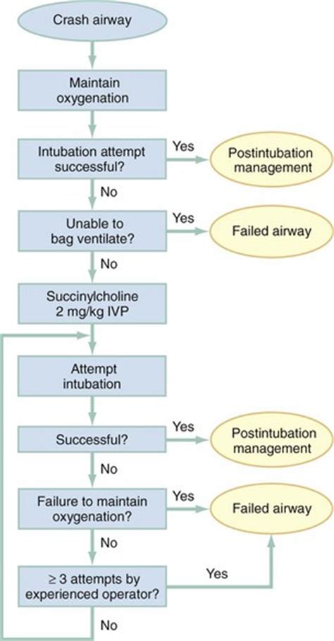 Airway Clinical Gate