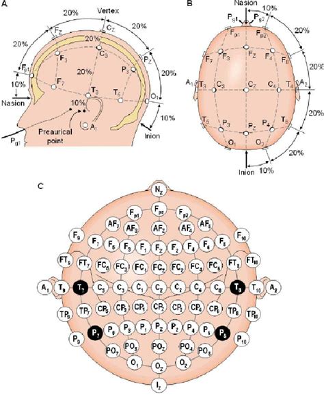 figure 1 from a survey on deep learning based brain computer interface