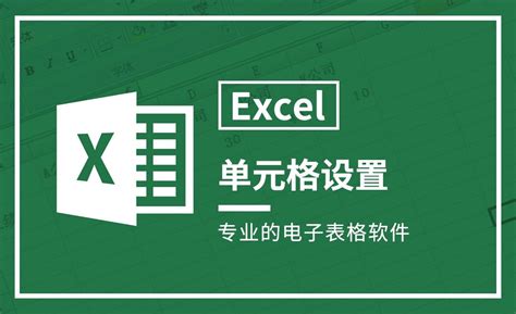 Excel 单元格设置 软件入门教程excel 虎课网