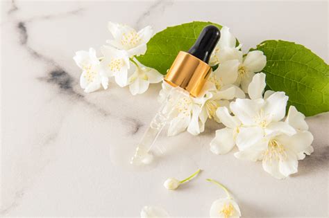 천연 재스민 오일이 함유 된 화장품 병의 점적기는 꽃 위에 있습니다 텍스트를위한 공간 대리석 흰색 배경 갈색에 대한 스톡 사진