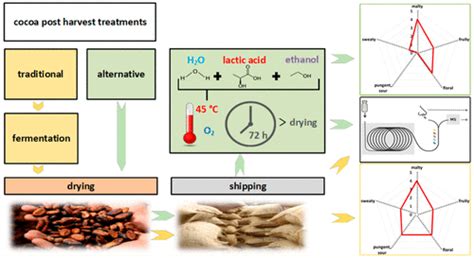 Novel Time And Location Independent Postharvest Treatment Of Cocoa