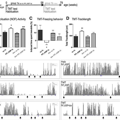 Expression Pattern Of Human A30p α Syn In Conditional Transgenic Mice