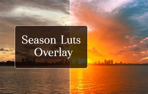 Color Luts Overlays After Effects Templates