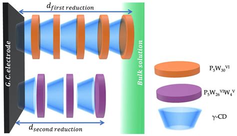 Molecules Free Full Text Supramolecular Association Between γ
