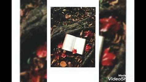 Best Book Dpzbook Dpz For Whatsapp Youtube