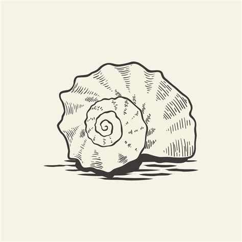 Hand Drawn Sea Snail Shell 39673018 Vector Art At Vecteezy