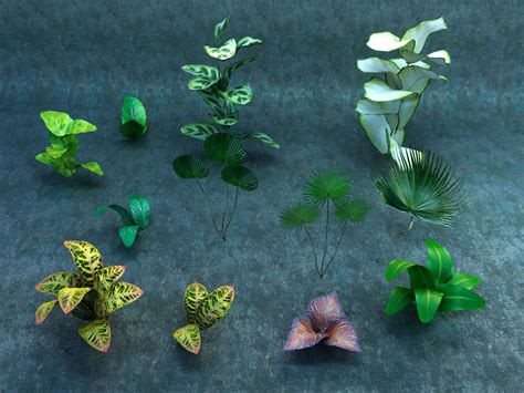 열대 식물 3 종 12 종 세트 3d 모델 27 Unknown 3ds Fbx Obj Stl Max Free3d