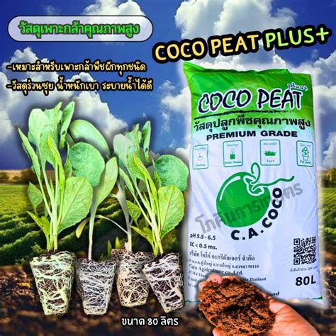 วัสดุเพาะกล้า ดินเพาะกล้า Coco Peat Plus ขนาด 80 ลิตร Shopee Thailand
