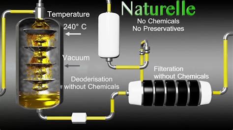 Create Science Simulations And Visualizations By Acrossmatter Fiverr